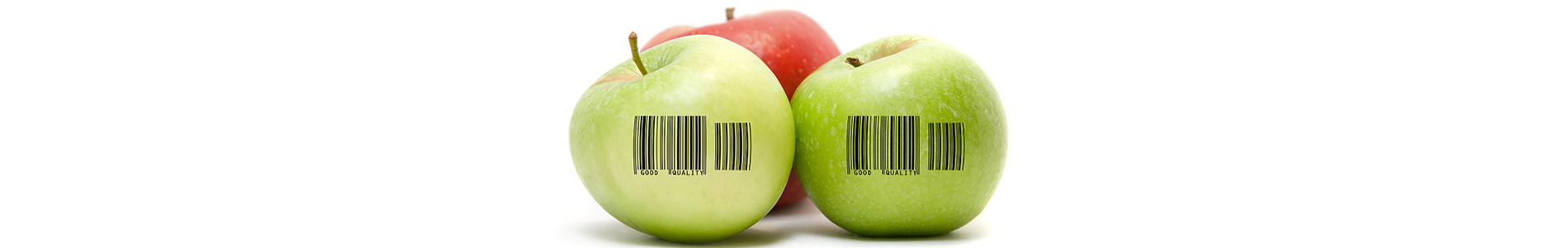 Integrating Barcodes - Bar Code Graphics
